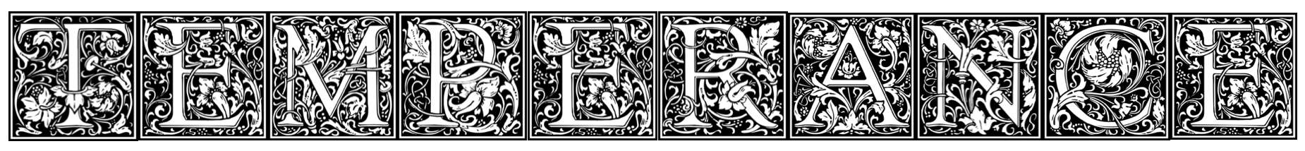 The Seven Deadly Virtues — 4 – Mike Sares